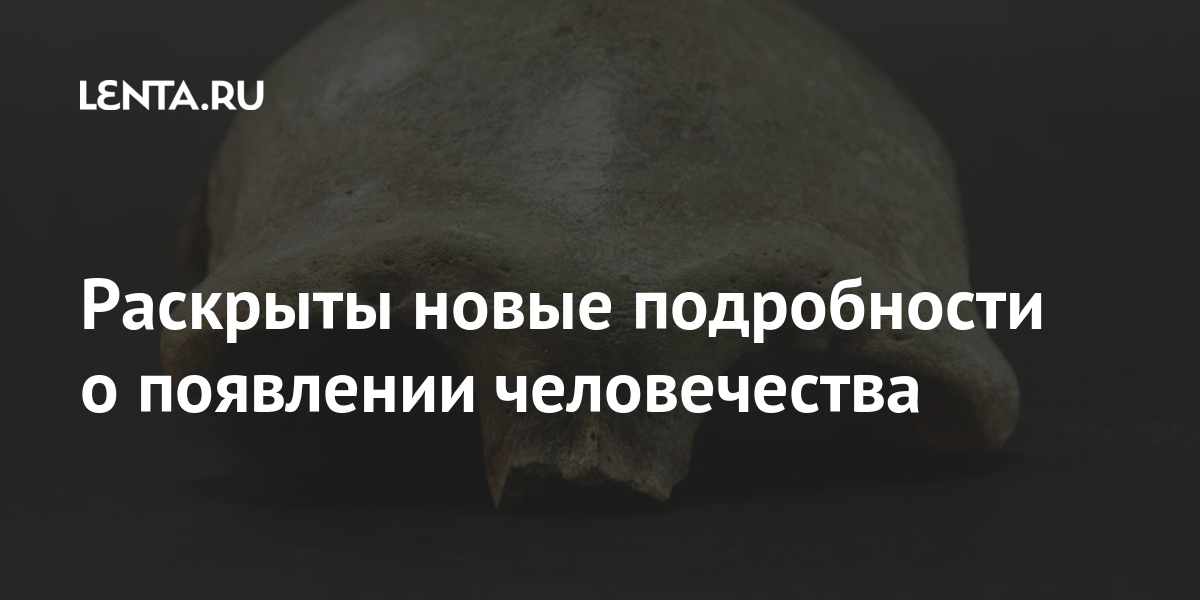 Раскрыты новые подробности о появлении человечества: Наука: Наука и ...