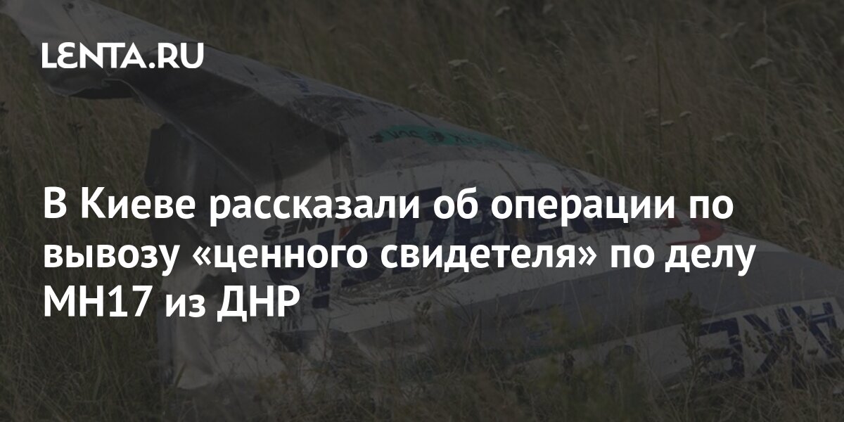 В Киеве рассказали об операции по вывозу «ценного свидетеля» по делу MH17 из ДНР: Украина ...