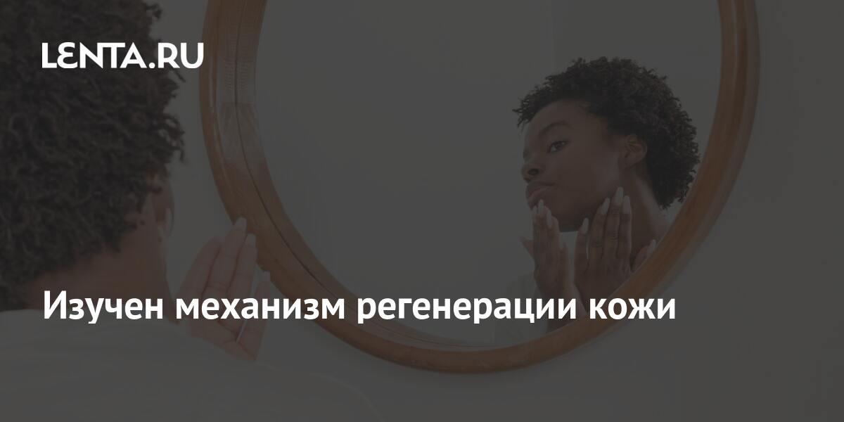 Изучен механизм регенерации кожи: Здоровье: Наука и техника: Lenta.ru