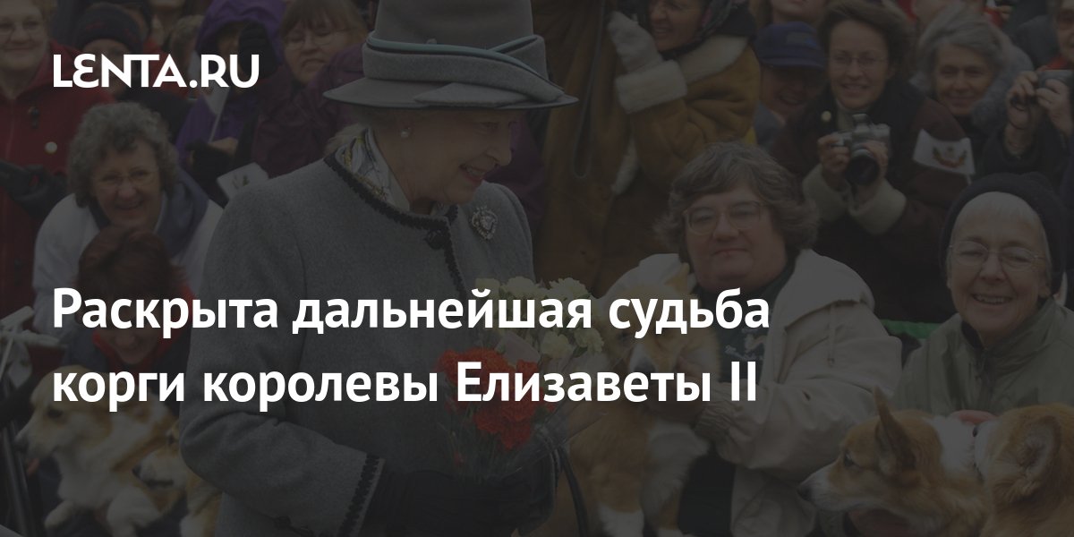 Раскрыта дальнейшая судьба корги королевы Елизаветы II: Персоны: Из жизни: Lenta.ru