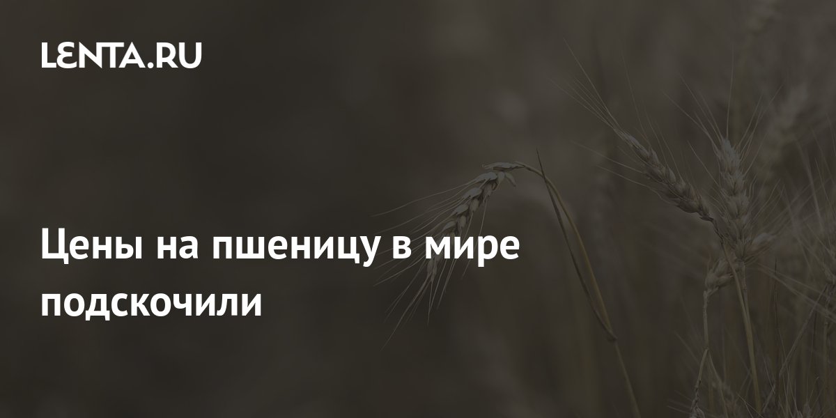 Цены на пшеницу в мире подскочили Рынки Экономика