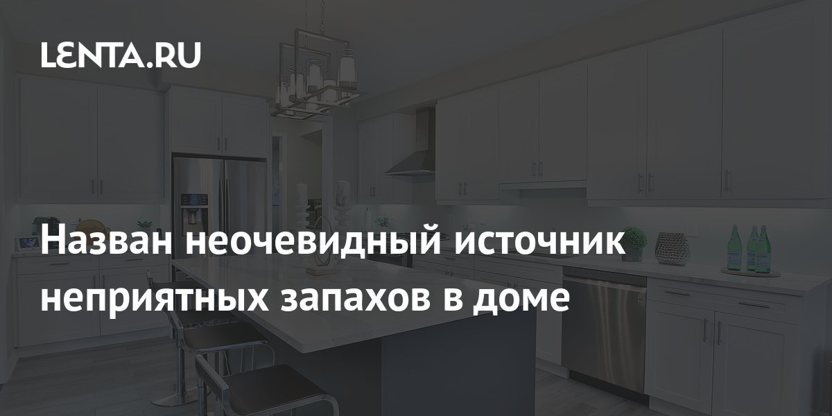 Назван неочевидный источник неприятных запахов в доме: Окружающее ...