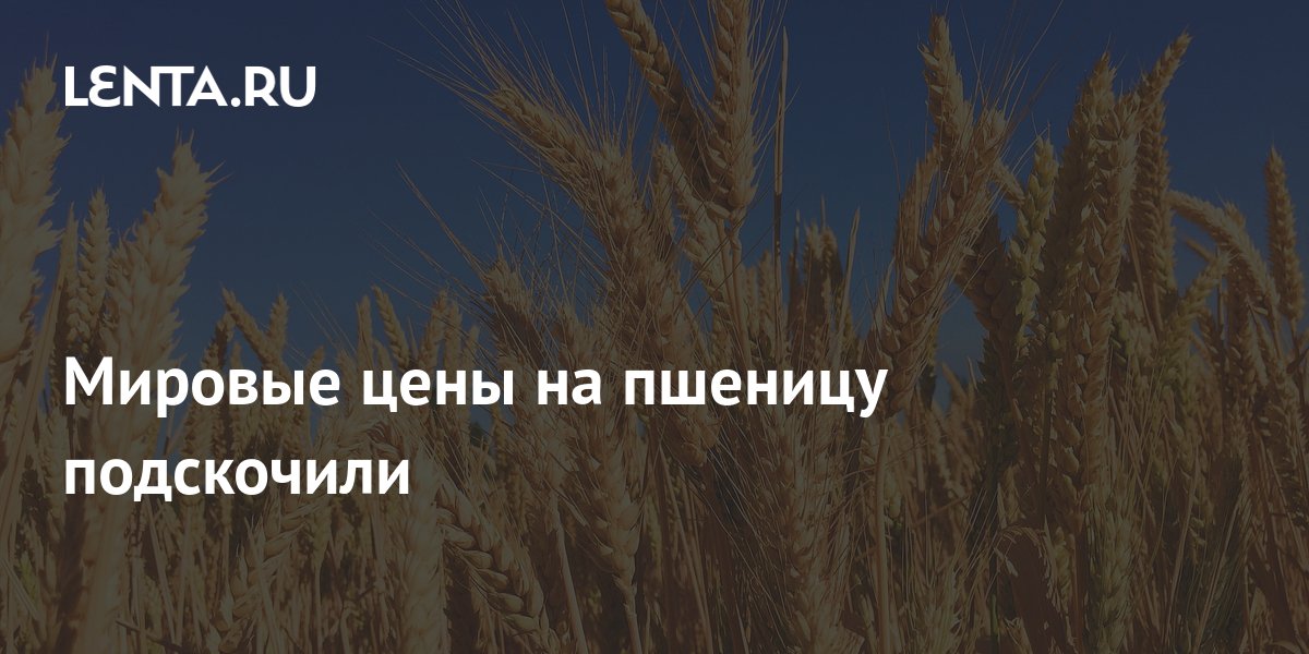 Мировые цены на пшеницу подскочили Рынки Экономика