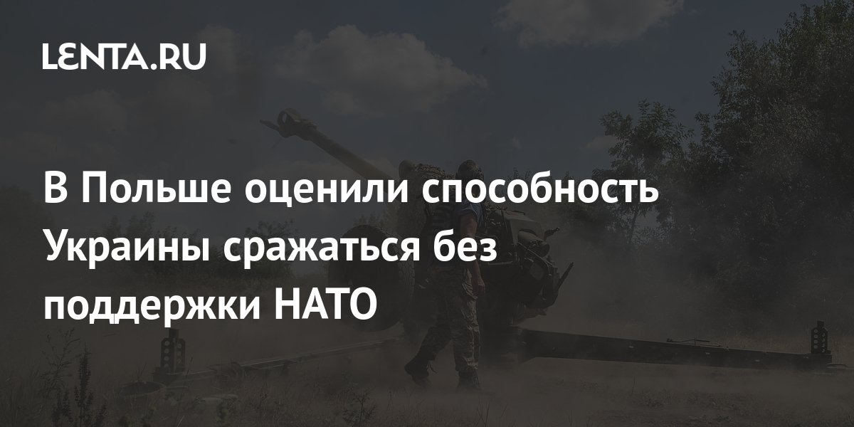 В Польше оценили способность Украины сражаться без поддержки НАТО