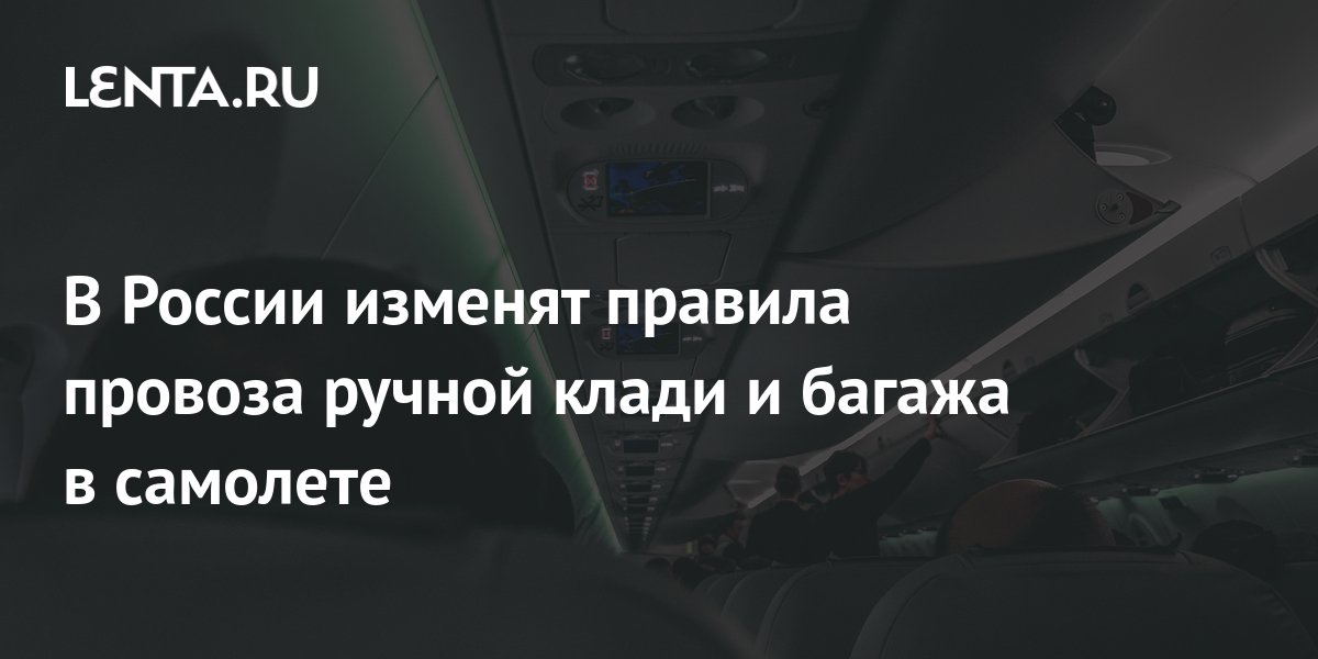 В России изменят правила провоза ручной клади и багажа в самолете Россия Путешествия