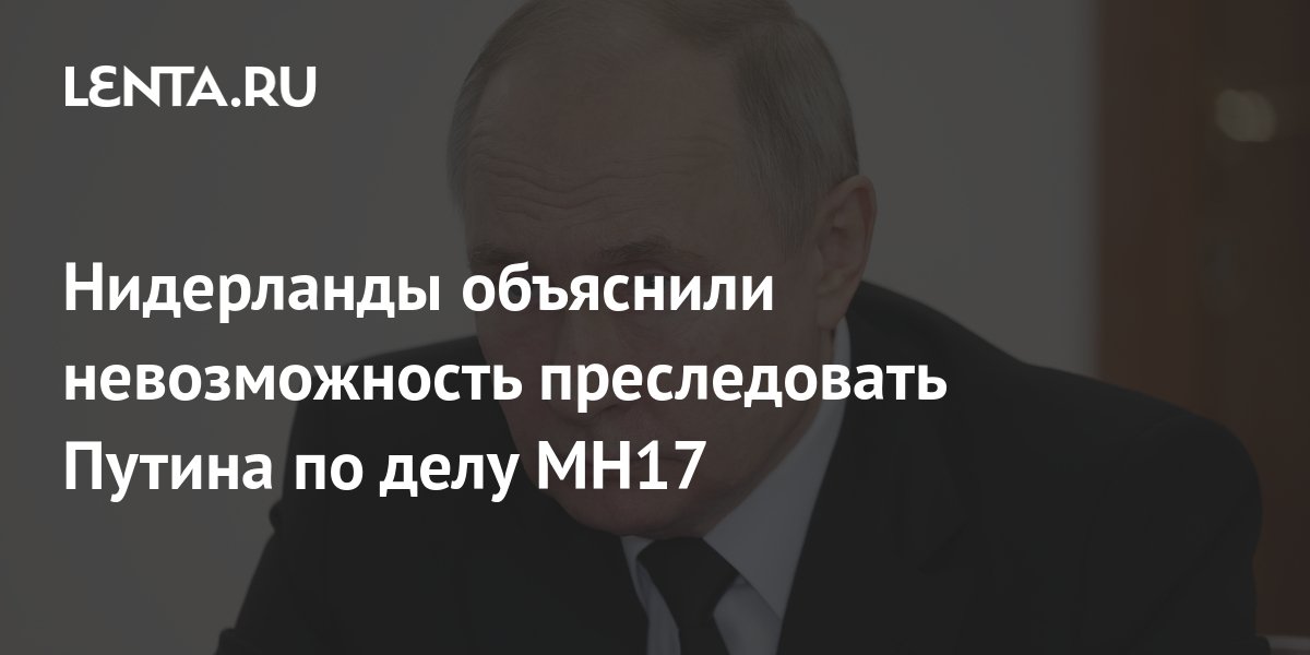Нидерланды объяснили невозможность преследовать Путина по делу MH17: Политика: Мир: Lenta.ru
