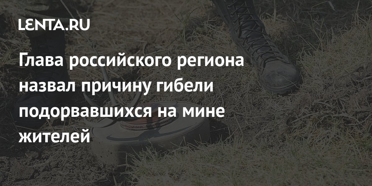 Глава российского региона назвал причину гибели подорвавшихся на мине