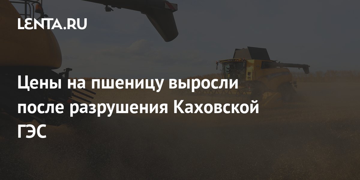 Цены на пшеницу выросли после разрушения Каховской ГЭС Инвестиции