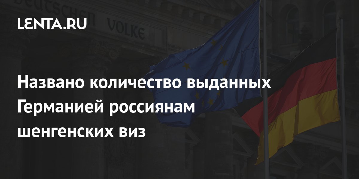 Названо количество выданных Германией россиянам шенгенских виз Политика Мир