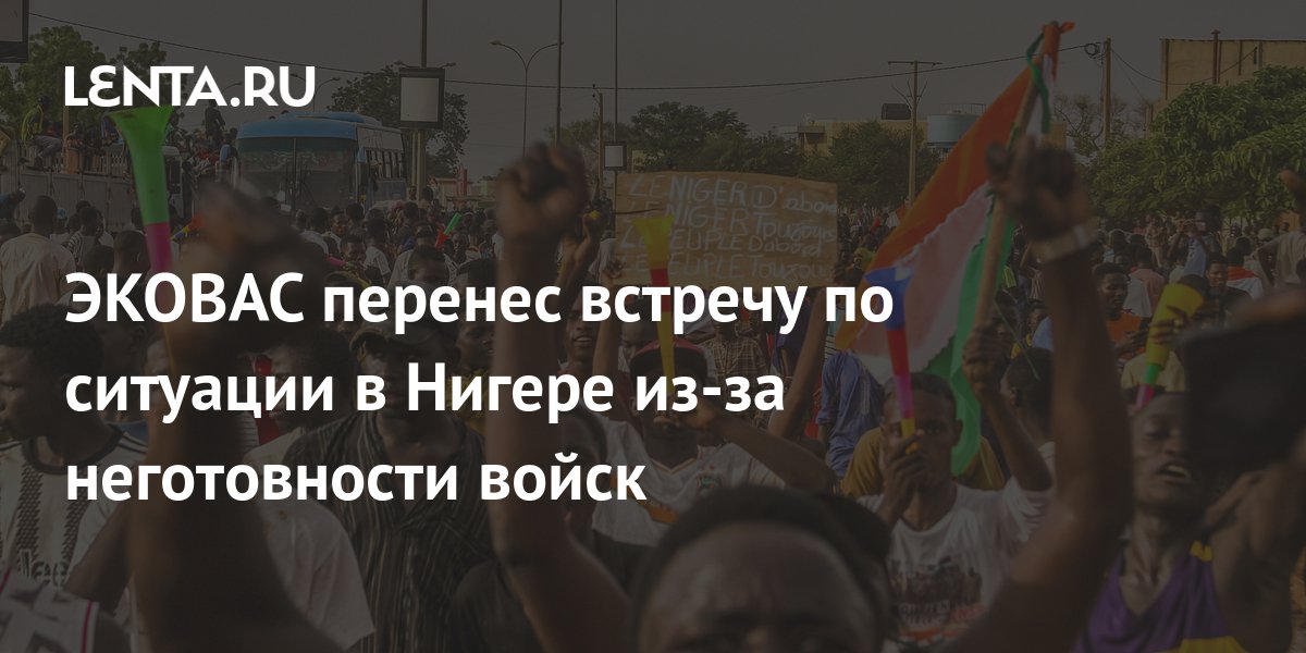 ЭКОВАС перенес встречу по ситуации в Нигере из за неготовности войск