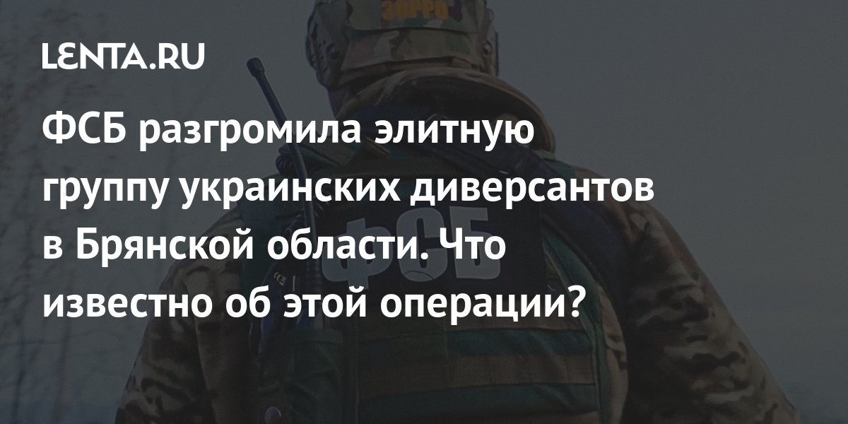 ФСБ разгромила элитную группу украинских диверсантов в Брянской области Что известно об этой