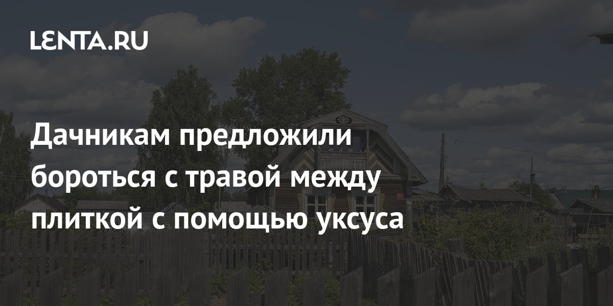 Дачникам предложили бороться с травой между плиткой с помощью уксуса ...