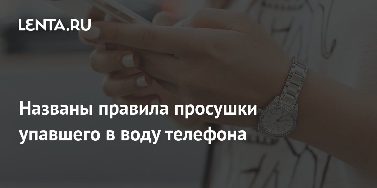 Названы правила просушки упавшего в воду телефона: Гаджеты: Наука и техника: Lenta.ru