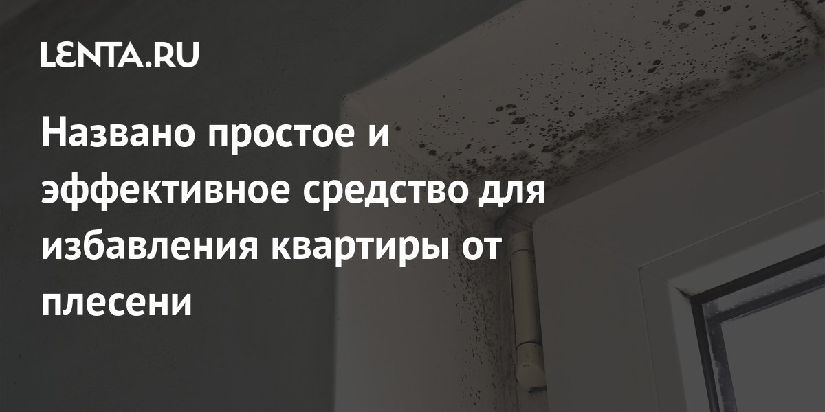 Названо простое и эффективное средство для избавления квартиры от ...