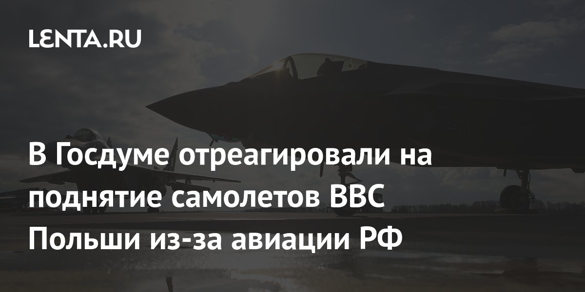 В Госдуме отреагировали на поднятие самолетов ВВС Польши из-за авиации ...