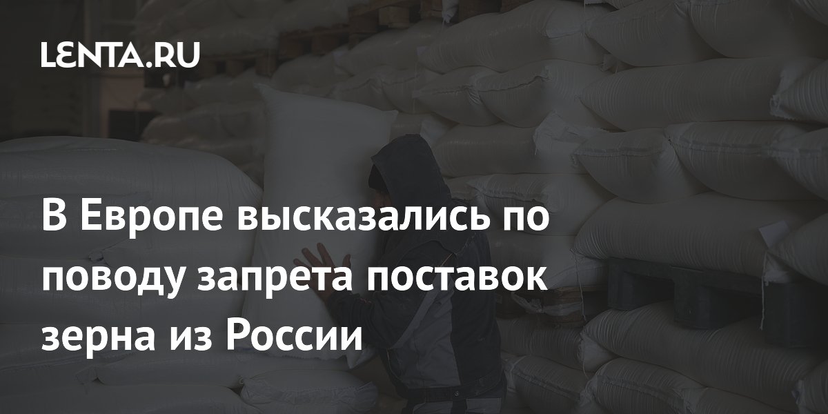 В Европе высказались по поводу запрета поставок зерна из России: Рынки ...