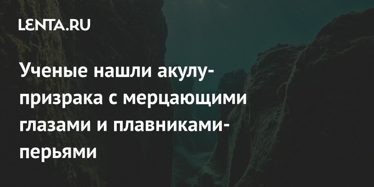 Ученые нашли акулу-призрака с мерцающими глазами и плавниками-перьями ...