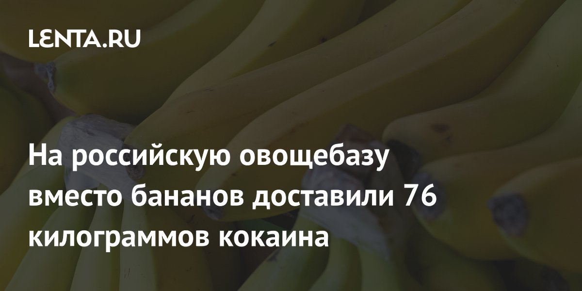 На российскую овощебазу вместо бананов доставили 76 килограммов кокаина: Следствие и суд ...