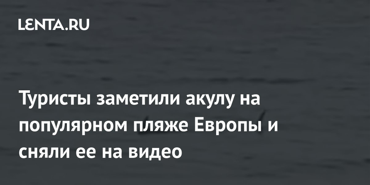 Туристы заметили акулу на популярном пляже Европы и сняли ее на видео