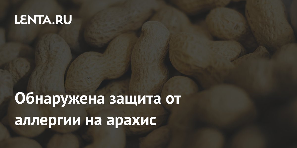 Обнаружена защита от аллергии на арахис: Наука: Наука и техника: Lenta.ru