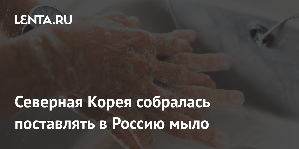 Северная Корея собралась поставлять в Россию мыло: Бизнес: Экономика ...
