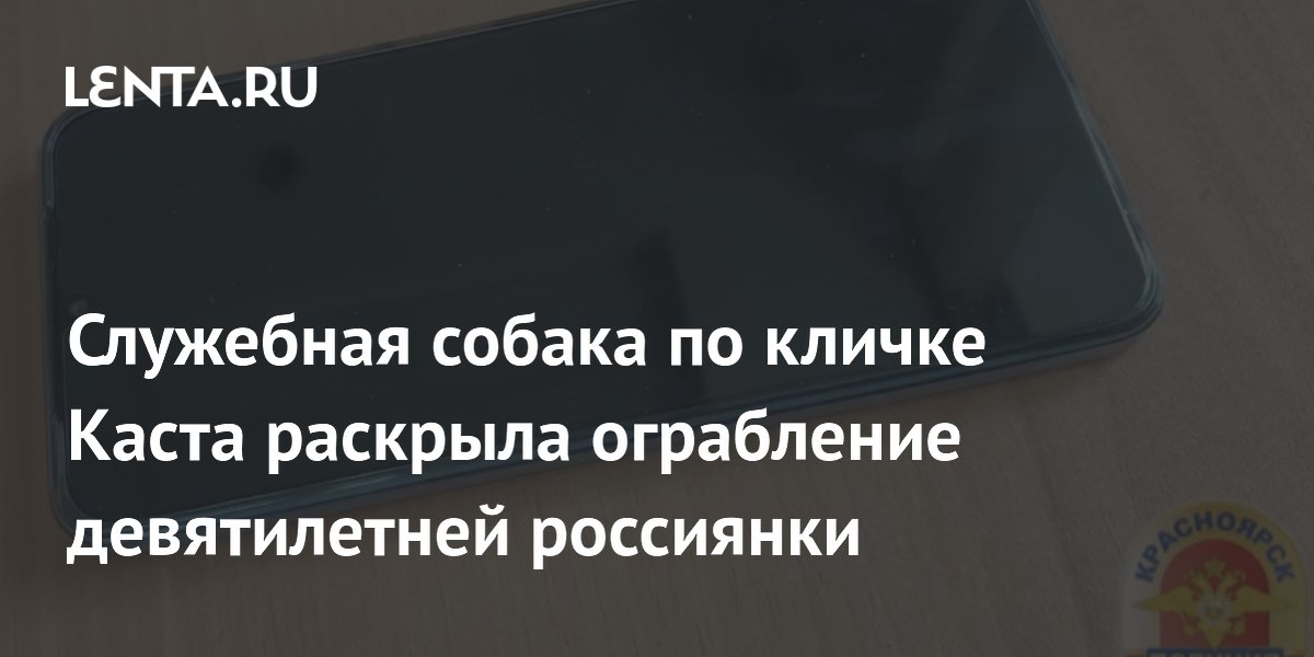 Служебная собака по кличке Каста раскрыла ограбление девятилетней россиянки: Следствие и суд ...