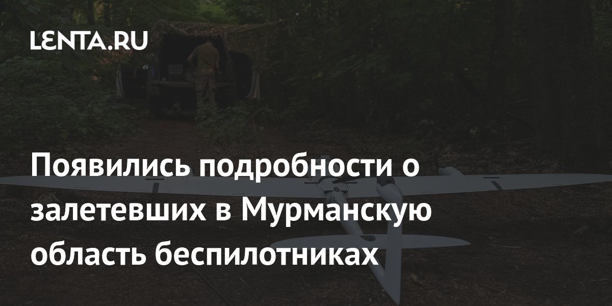 Появились подробности о залетевших в Мурманскую область беспилотниках