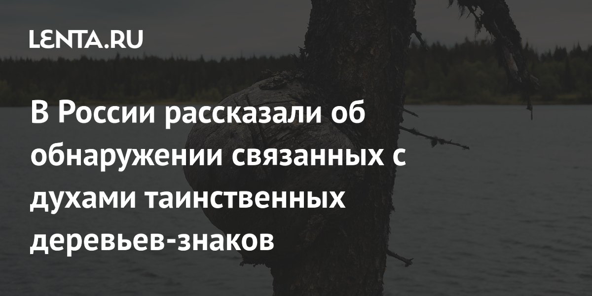 В России рассказали об обнаружении связанных с духами таинственных деревьев-знаков: Явления: 69 ...