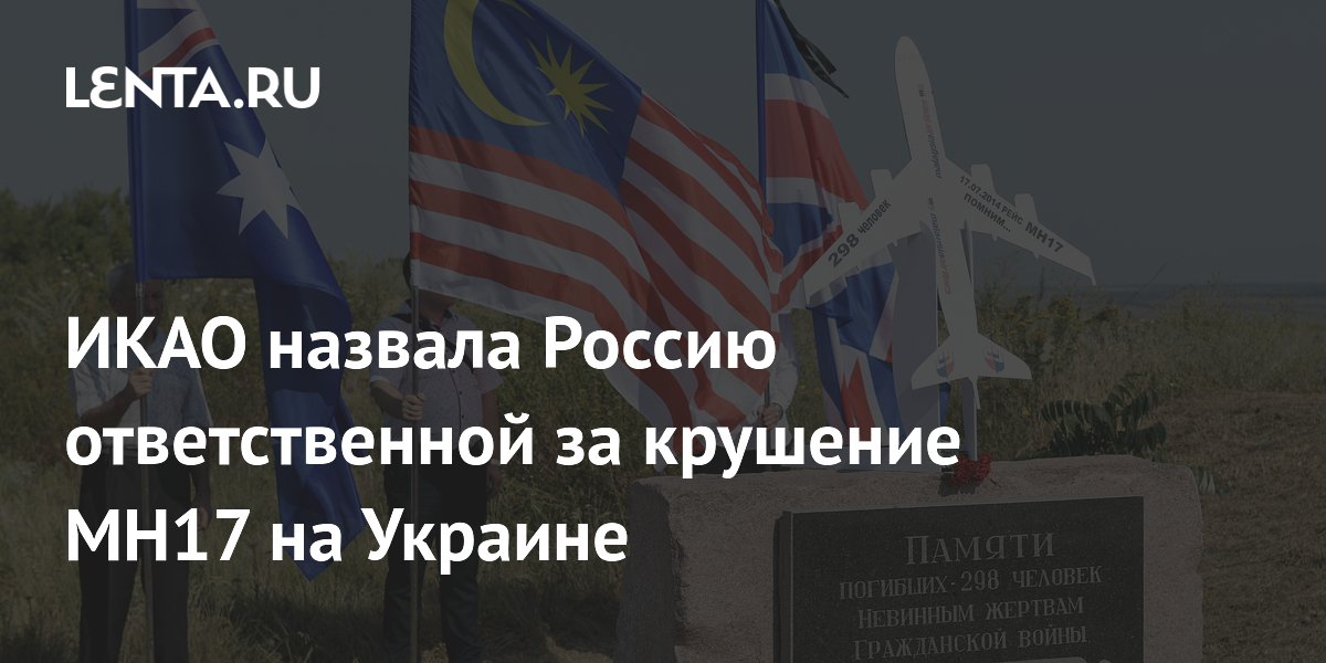 ИКАО назвала Россию ответственной за крушение MH17 на Украине: Политика: Мир: Lenta.ru