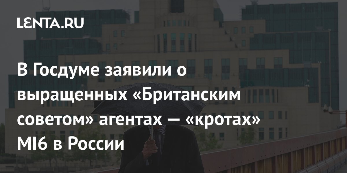 В Госдуме заявили о выращенных «Британским советом» агентах — «кротах» MI6 в России: Общество ...