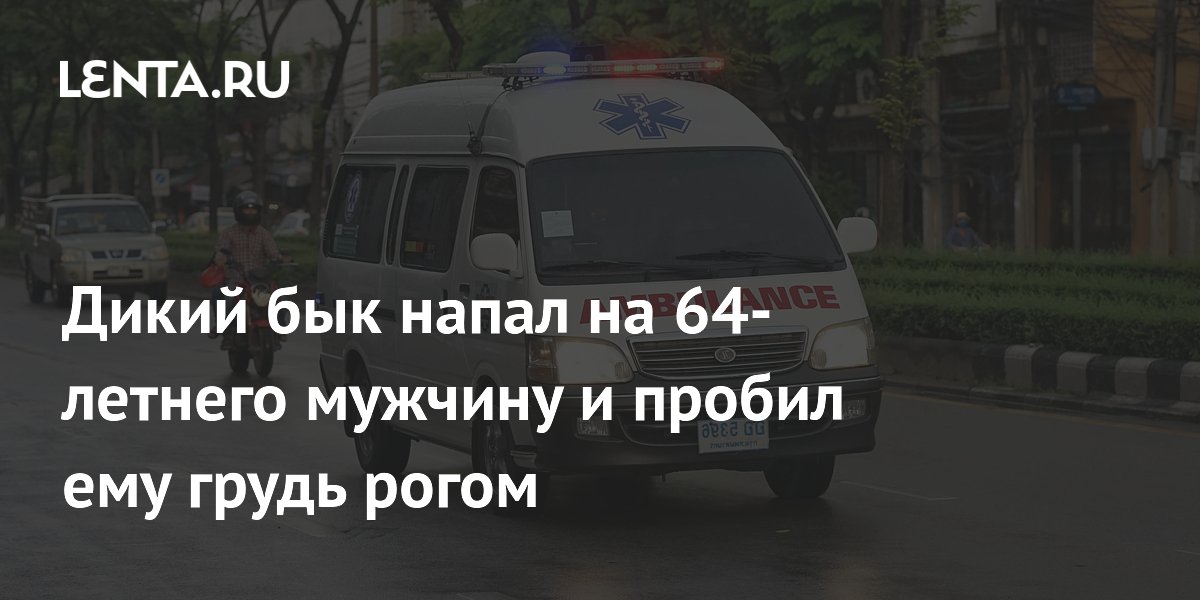 Дикий бык напал на 64-летнего мужчину и пробил ему грудь рогом: Происшествия: Из жизни: Lenta.ru