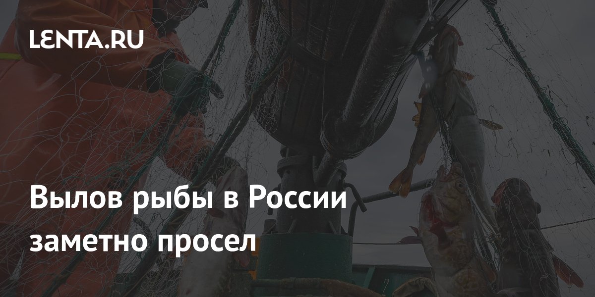 Вылов рыбы в России заметно просел: Рынки: Экономика: Lenta.ru