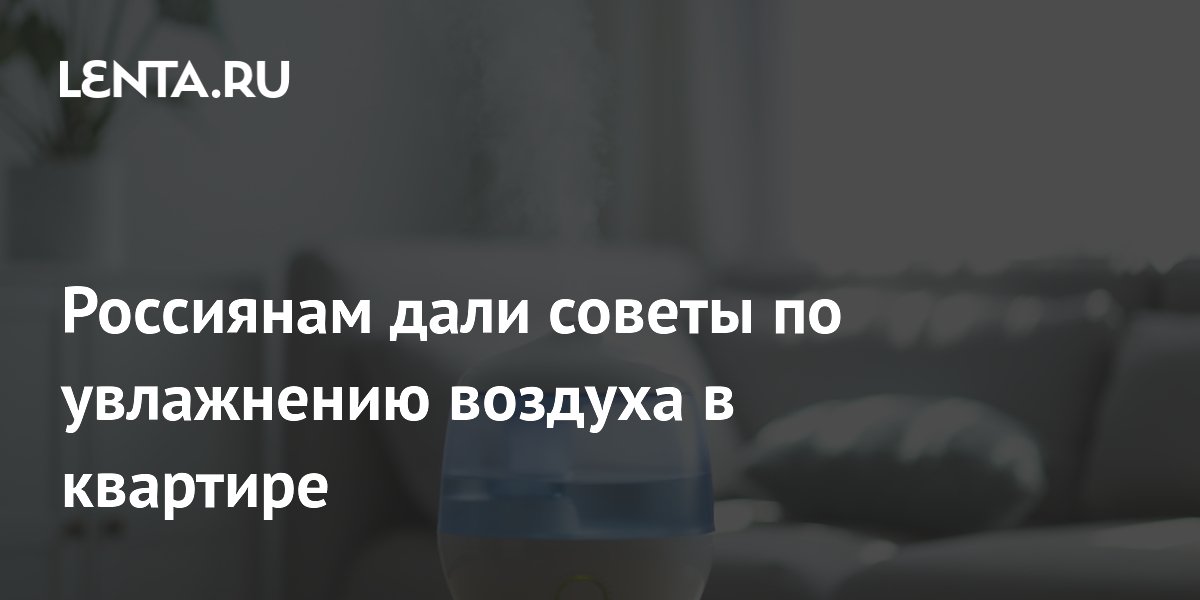 Россиянам дали советы по увлажнению воздуха в квартире: Недвижимость ...