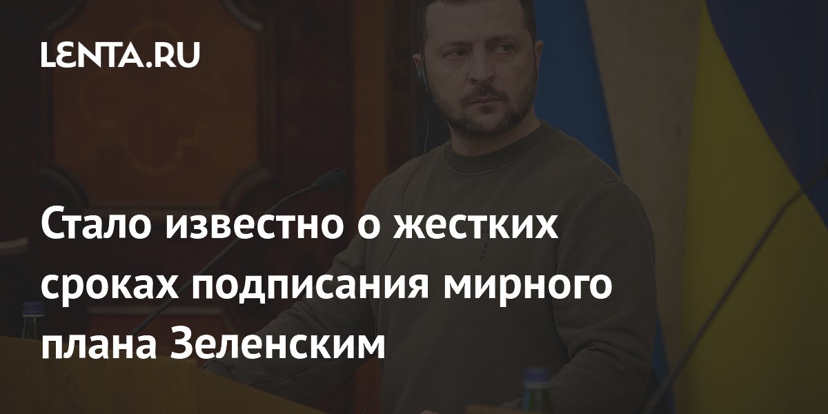 Стало известно о жестких сроках подписания мирного плана Зеленским: Украина: Бывший СССР: Lenta.ru