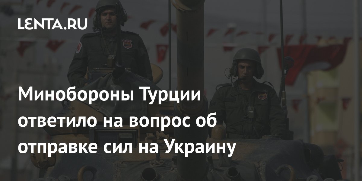 Минобороны Турции ответило на вопрос об отправке сил на Украину: Политика: Мир: Lenta.ru