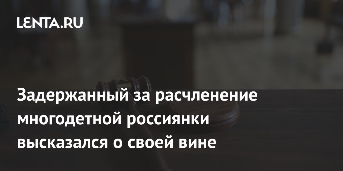 Задержанный за расчленение многодетной россиянки высказался о своей ...
