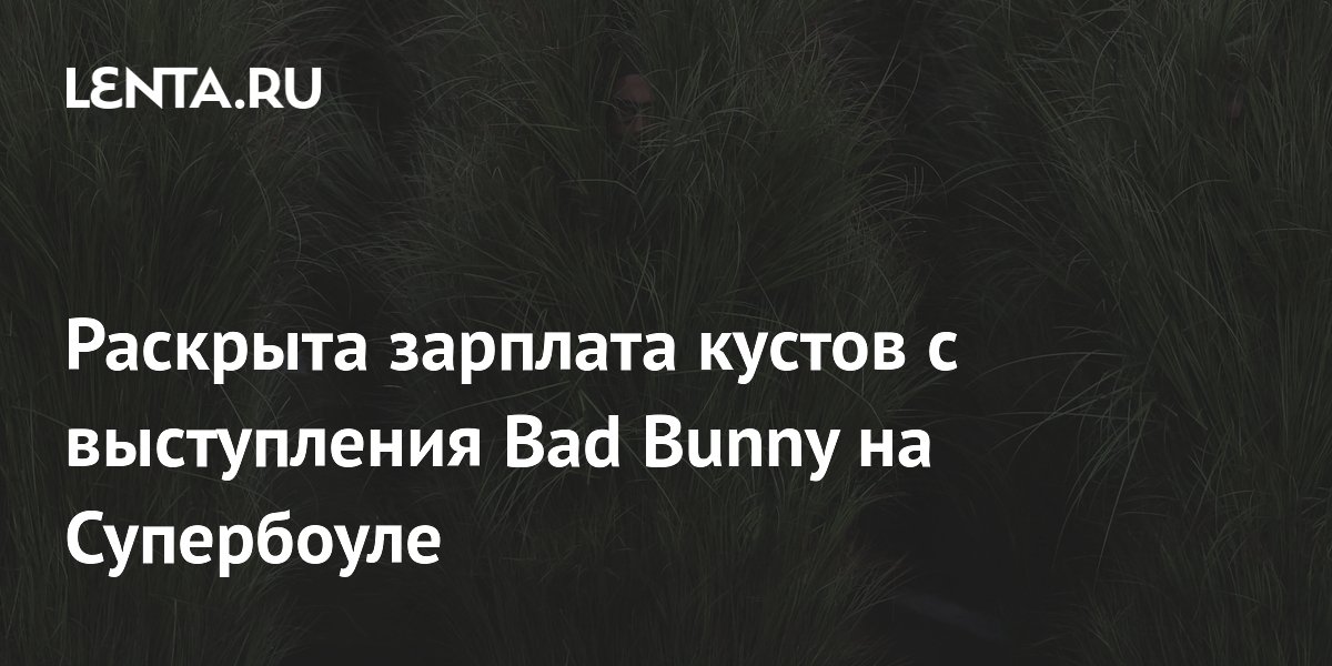 Раскрыта зарплата кустов с выступления Bad Bunny на Супербоуле: Явления ...