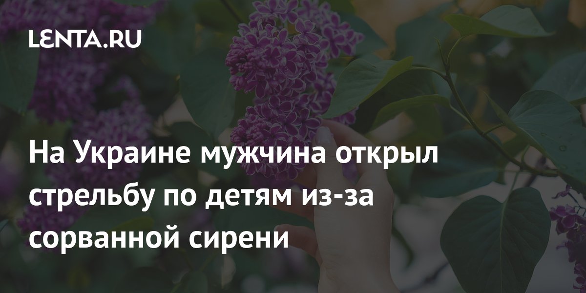 На Украине мужчина открыл стрельбу по детям из-за сорванной сирени ...