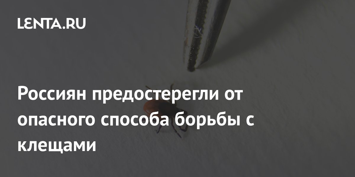 Россиян предостерегли от опасного способа борьбы с клещами: Климат и ...