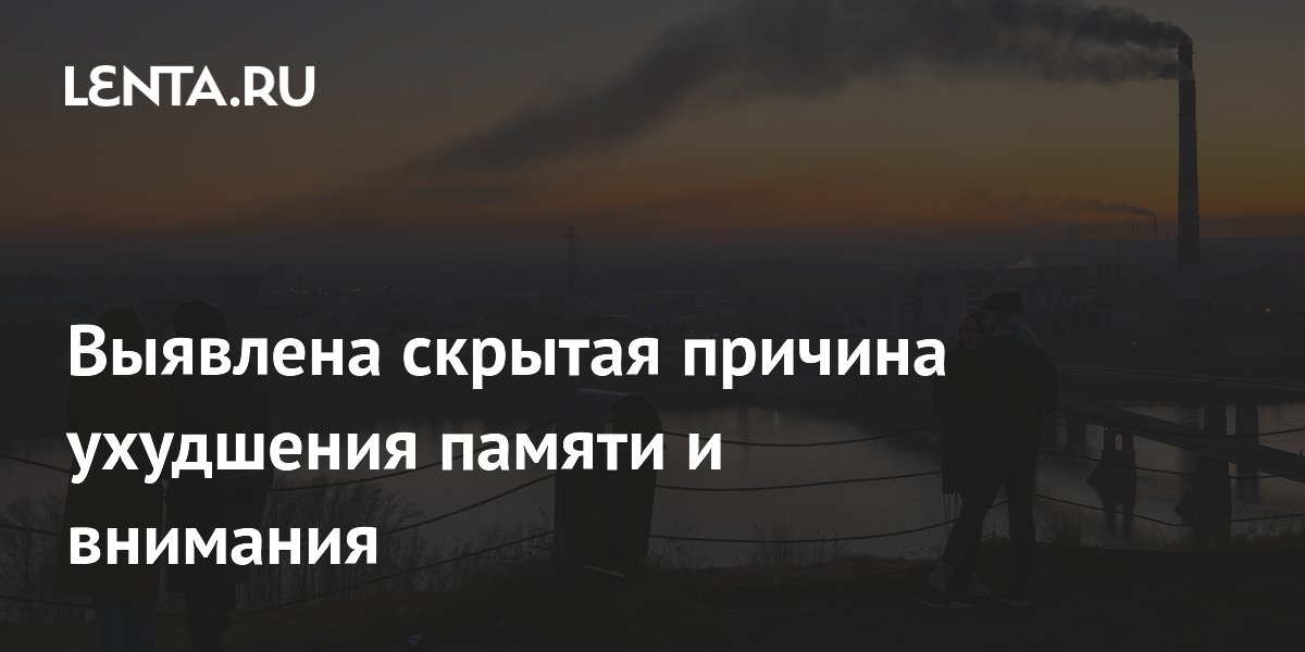 Выявлена скрытая причина ухудшения памяти и внимания: Наука: Наука и ...