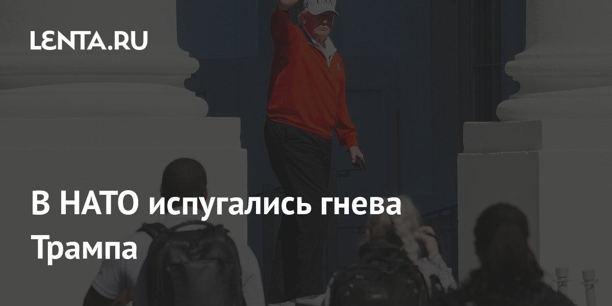 В НАТО испугались гнева Трампа: Политика: Мир: Lenta.ru