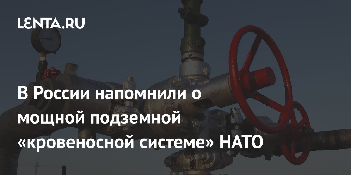 В России напомнили о мощной подземной «кровеносной системе» НАТО ...
