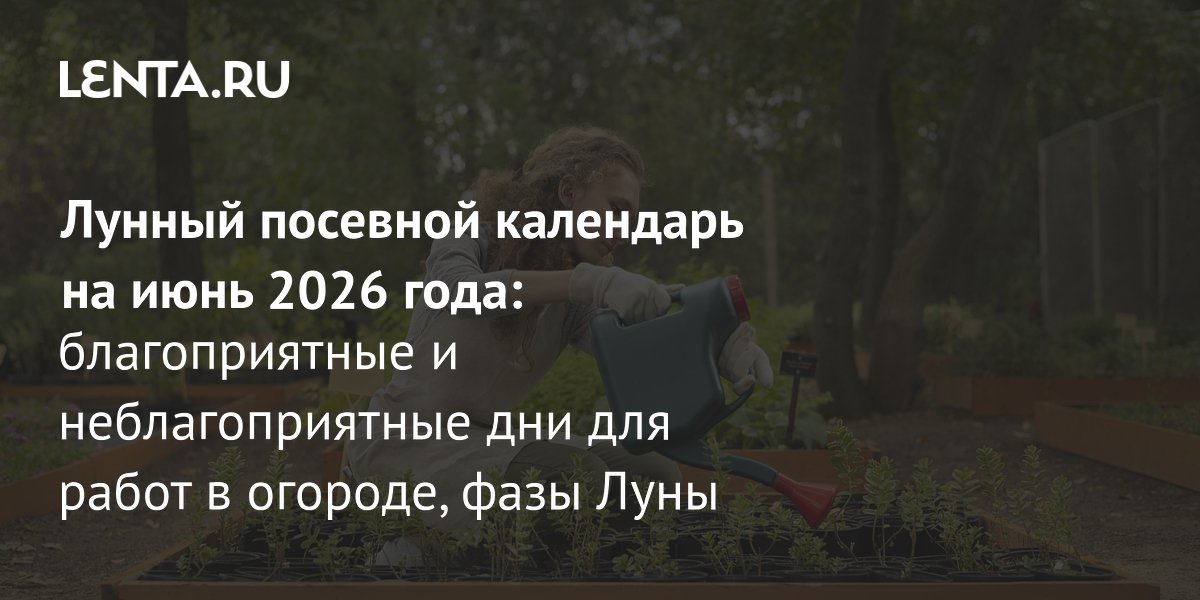 Лунный посевной календарь на июнь 2026: благоприятные дни для посадок ...