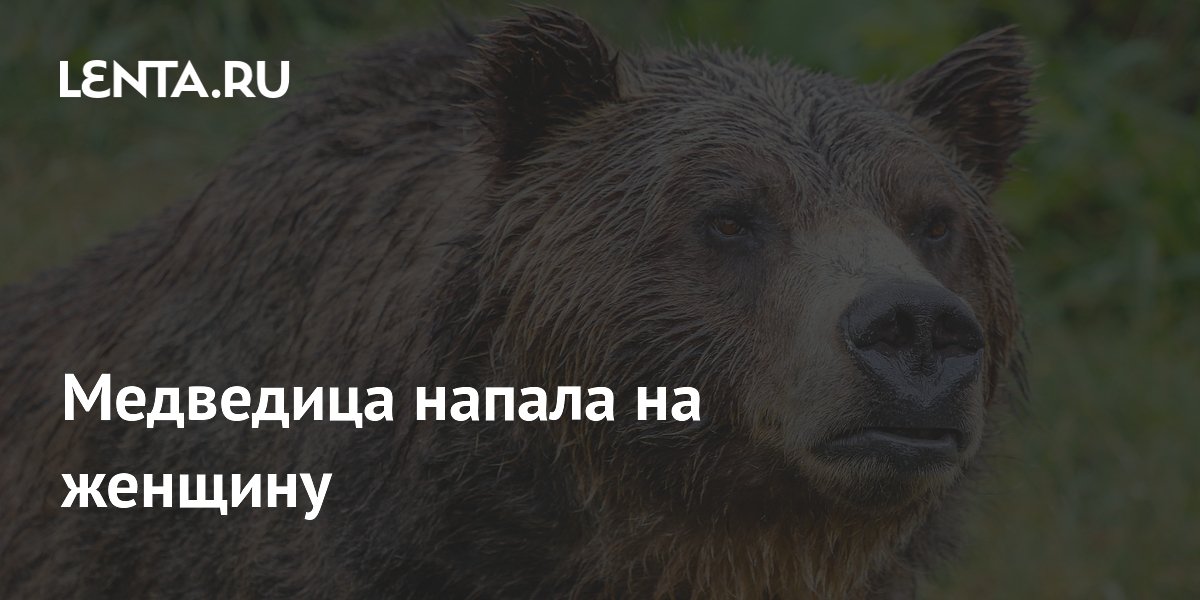 Lenta ru lenta-ru